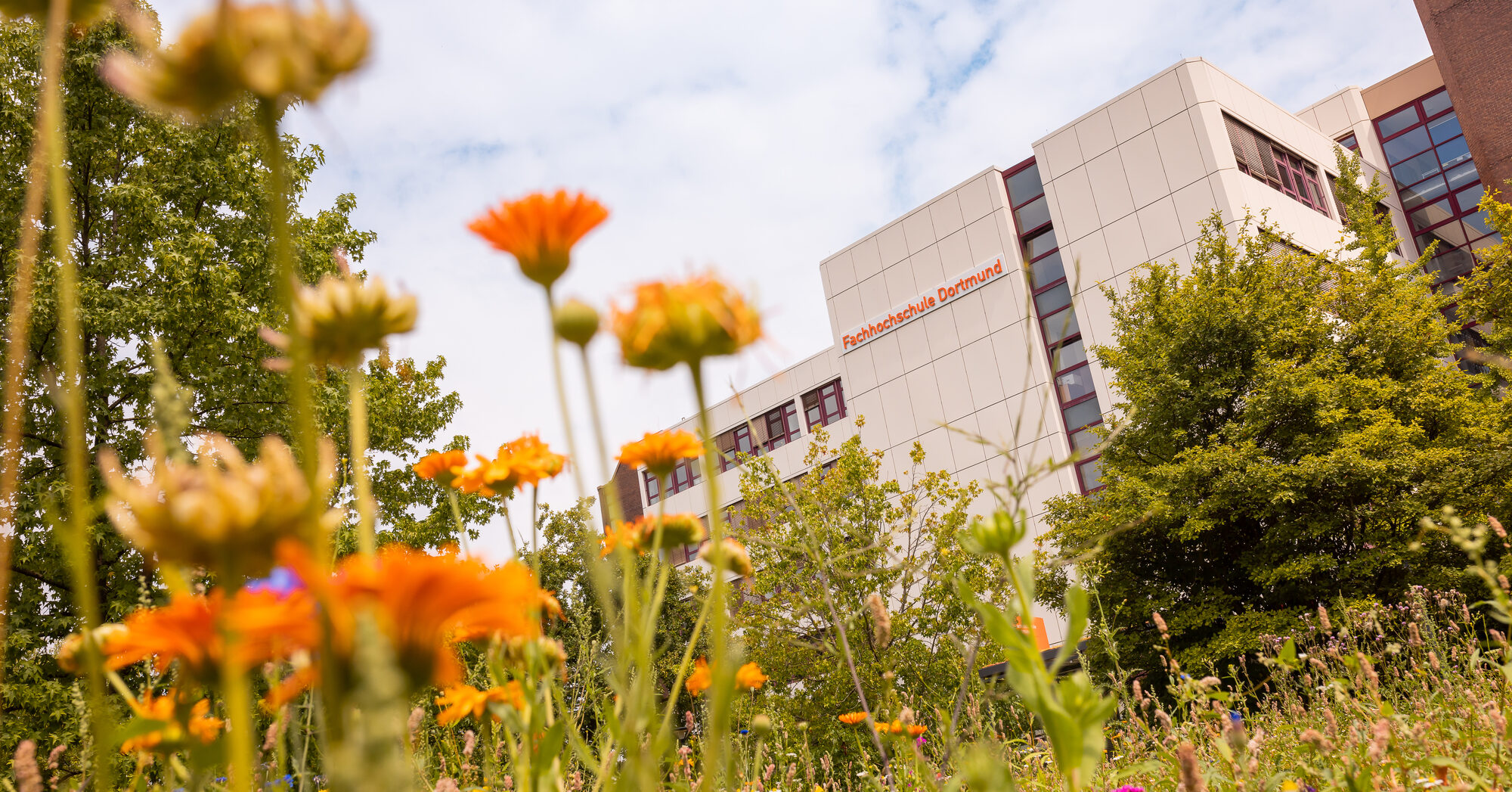 Audit „Nachhaltigkeit an Hochschulen“: HRK startet Pilotphase mit vier ...
